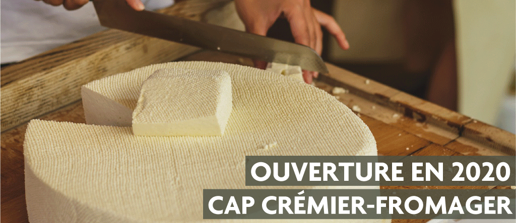 Accueil - Campus des métiers et de l'artisanat - Indre-et-Loire